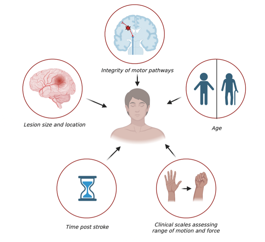 The Promise of Precision Medicine for Motor Recovery after Stroke
